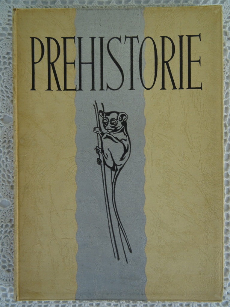 Antiek lesboek Prehistorie vertaald door Jan Romein - Curiosa en Kunst.nl